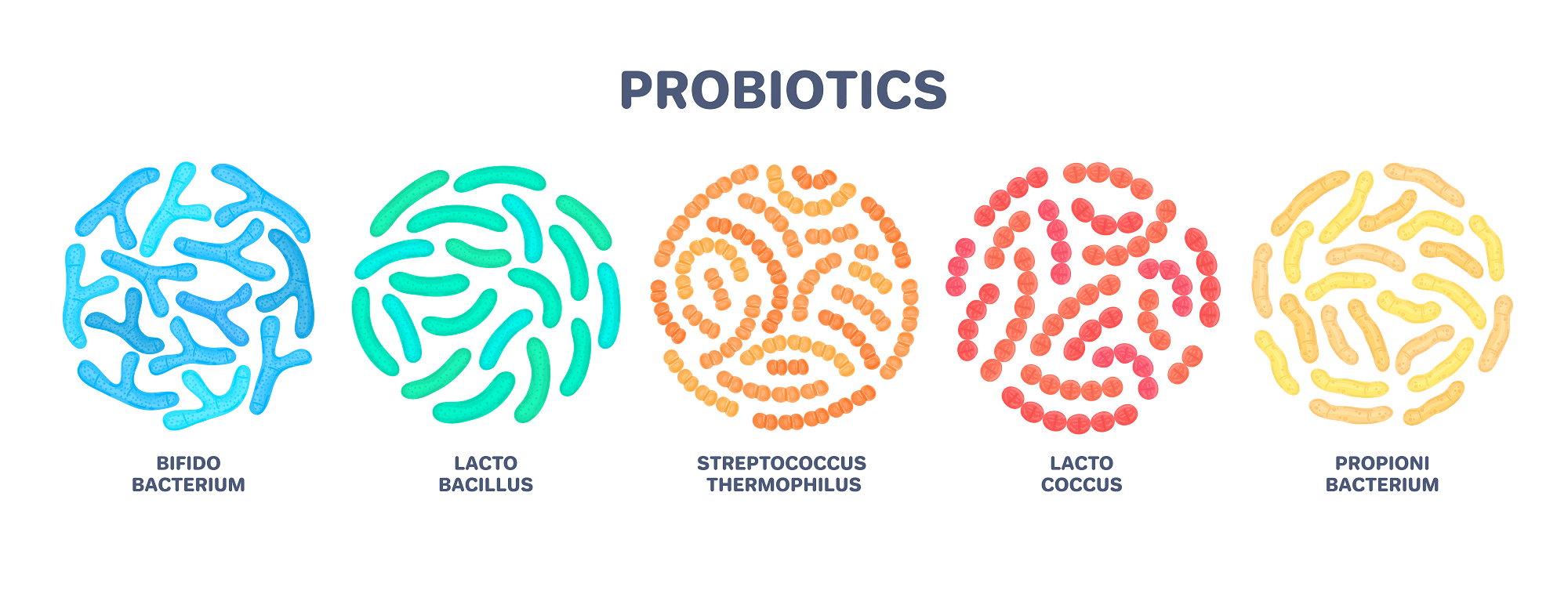 Quels sont les meilleurs probiotiques ? Wk-pharma.fr Quels sont les meilleurs probiotiques ? Wk-pharma.fr